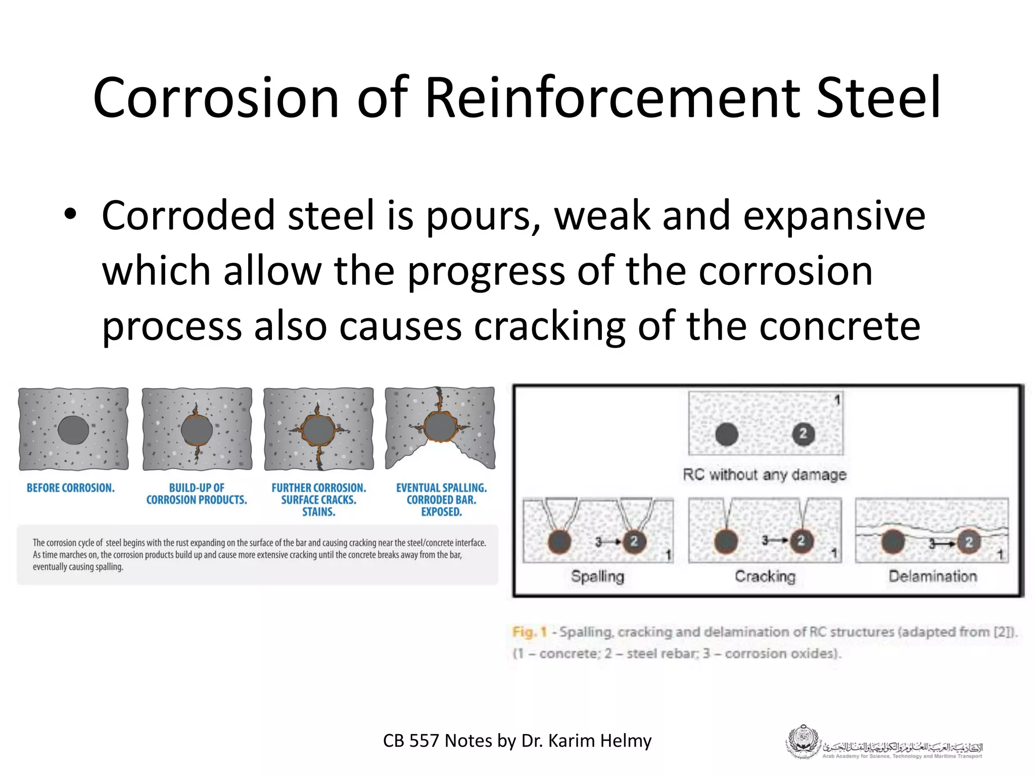 Concrete defects.pdf