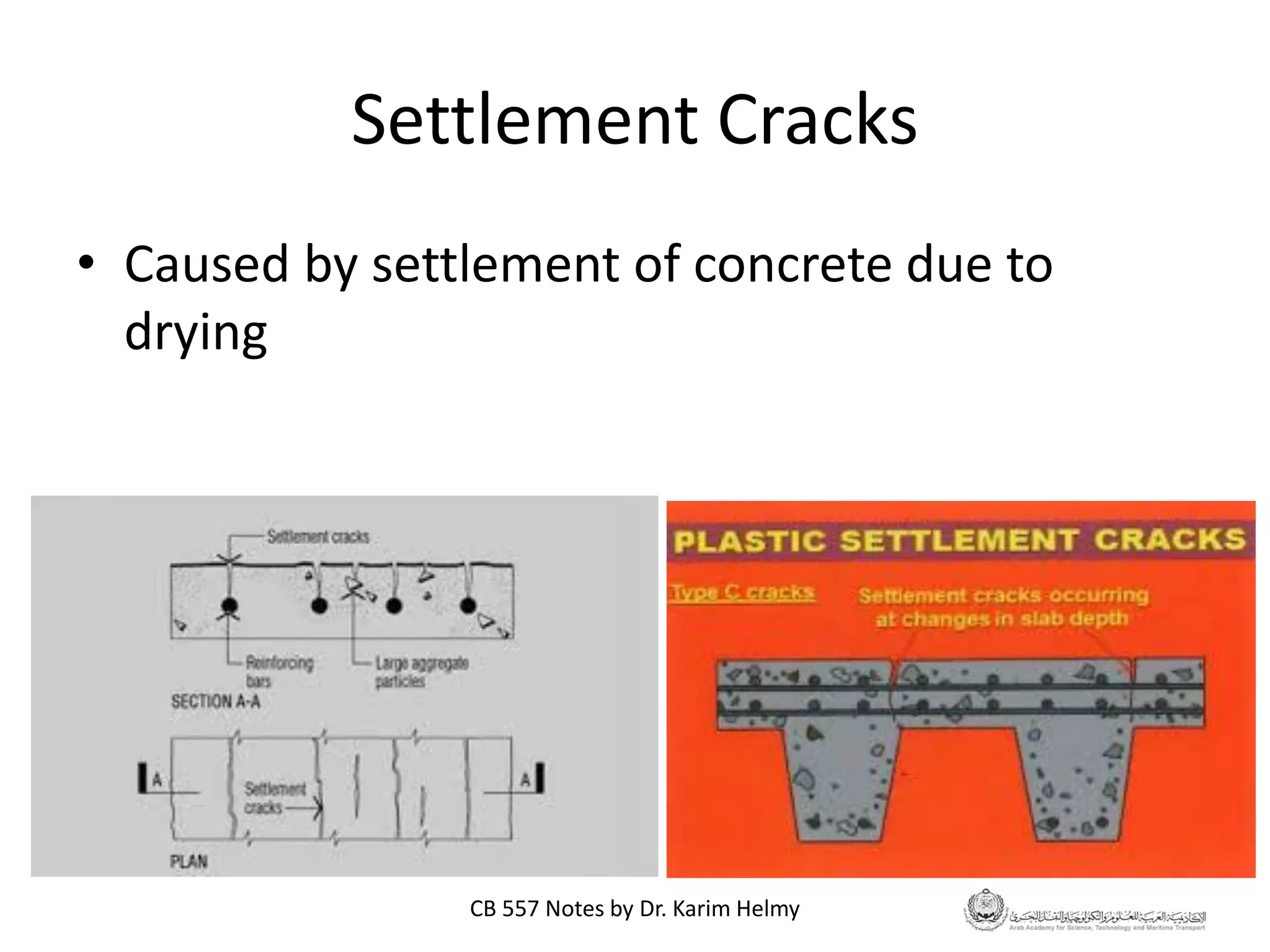 Concrete Defects Pdf