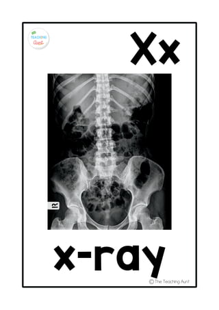 Concrete Objects Alphabet A4 .pdf