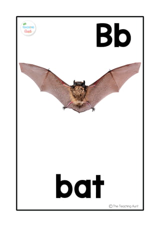 Concrete Objects Alphabet A4 .pdf