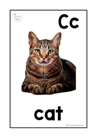 Concrete Objects Alphabet A4 .pdf