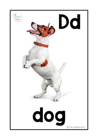 Concrete Objects Alphabet A4 .pdf