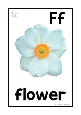 Concrete Objects Alphabet A4 .pdf