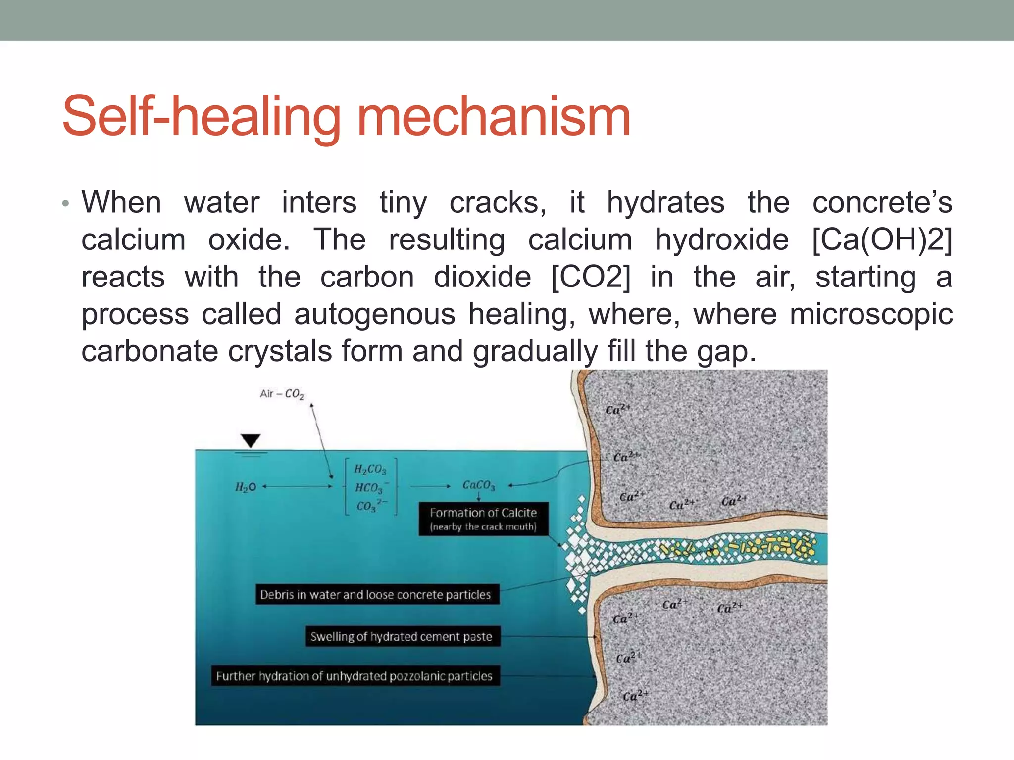 Concrete Self-healing mechanism.pptx