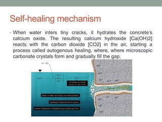 Concrete Self-healing mechanism.pptx