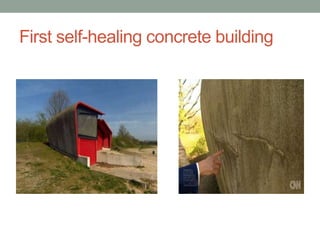 Concrete Self-healing mechanism.pptx