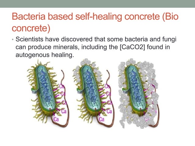 Concrete Self-healing mechanism.pptx