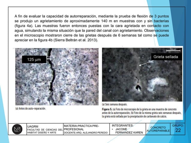 Concreto autoreparable | PDF