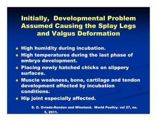 Concurrent leg problems in broilers | PDF