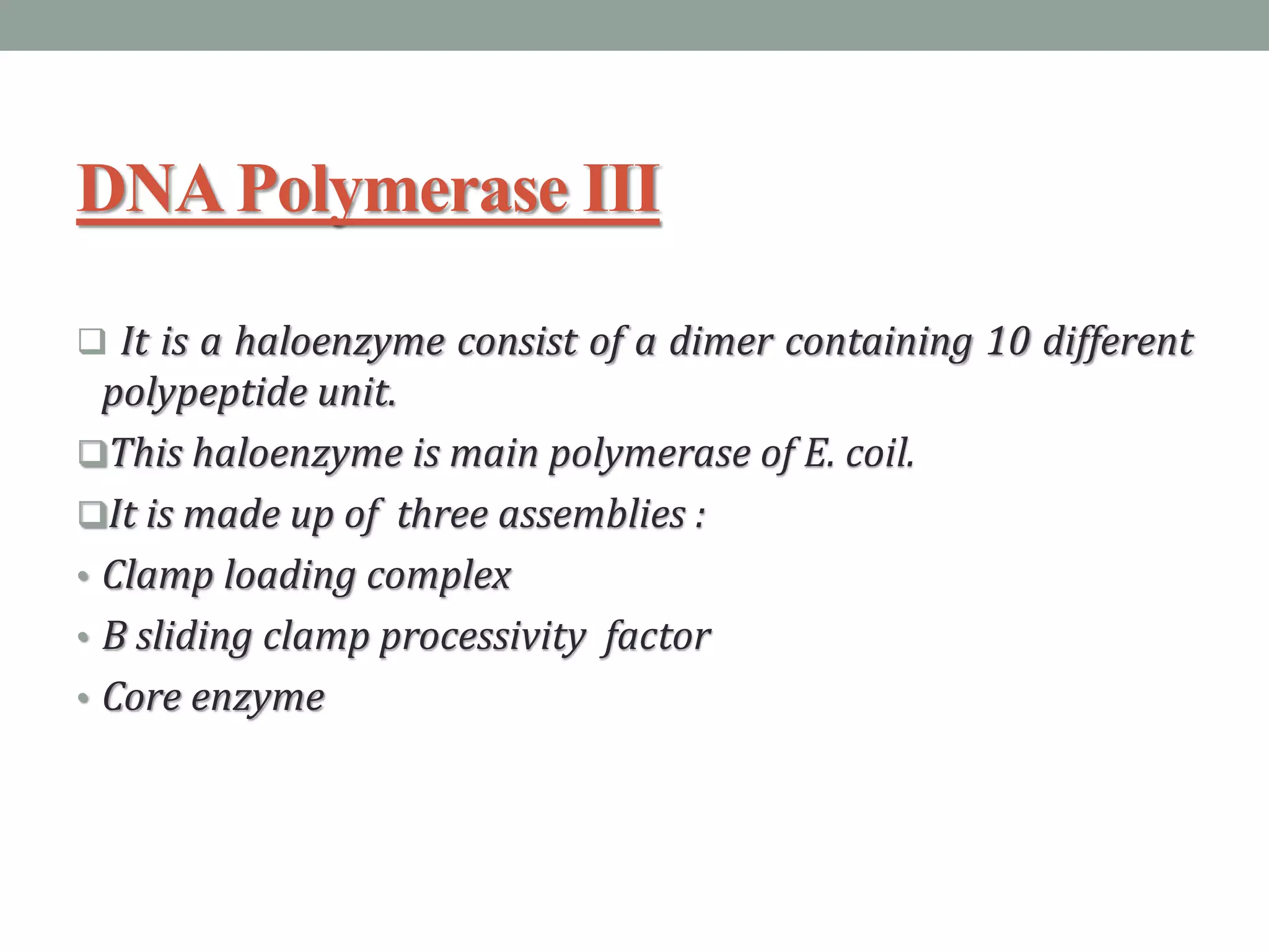 Concurrent synthesis on the leading and lagging strands | PPTX