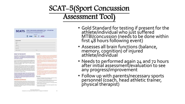 Concussions and Their Impact | PPTX | Death, Injury, or Military ...