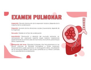 Condensacion Pulmonar, todo lo que necesitas saber | PDF