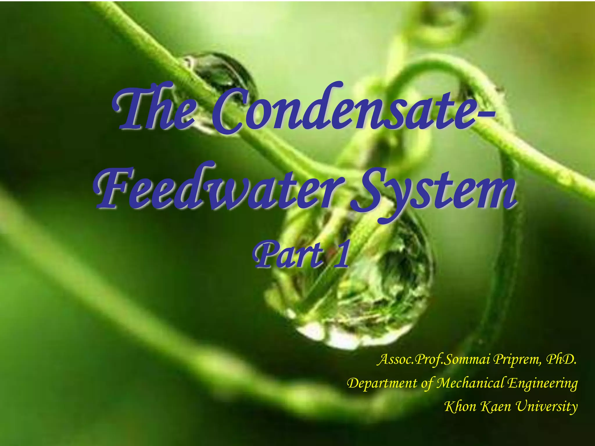 CondensateFeedwaterSystem Part1.ppt
