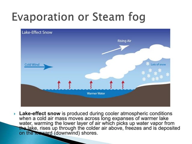 Condensation (fogs and clouds) | PPTX | Weather | Science