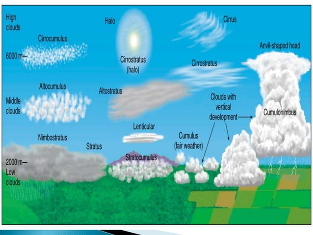 Condensation (fogs and clouds) | PPTX | Weather | Science