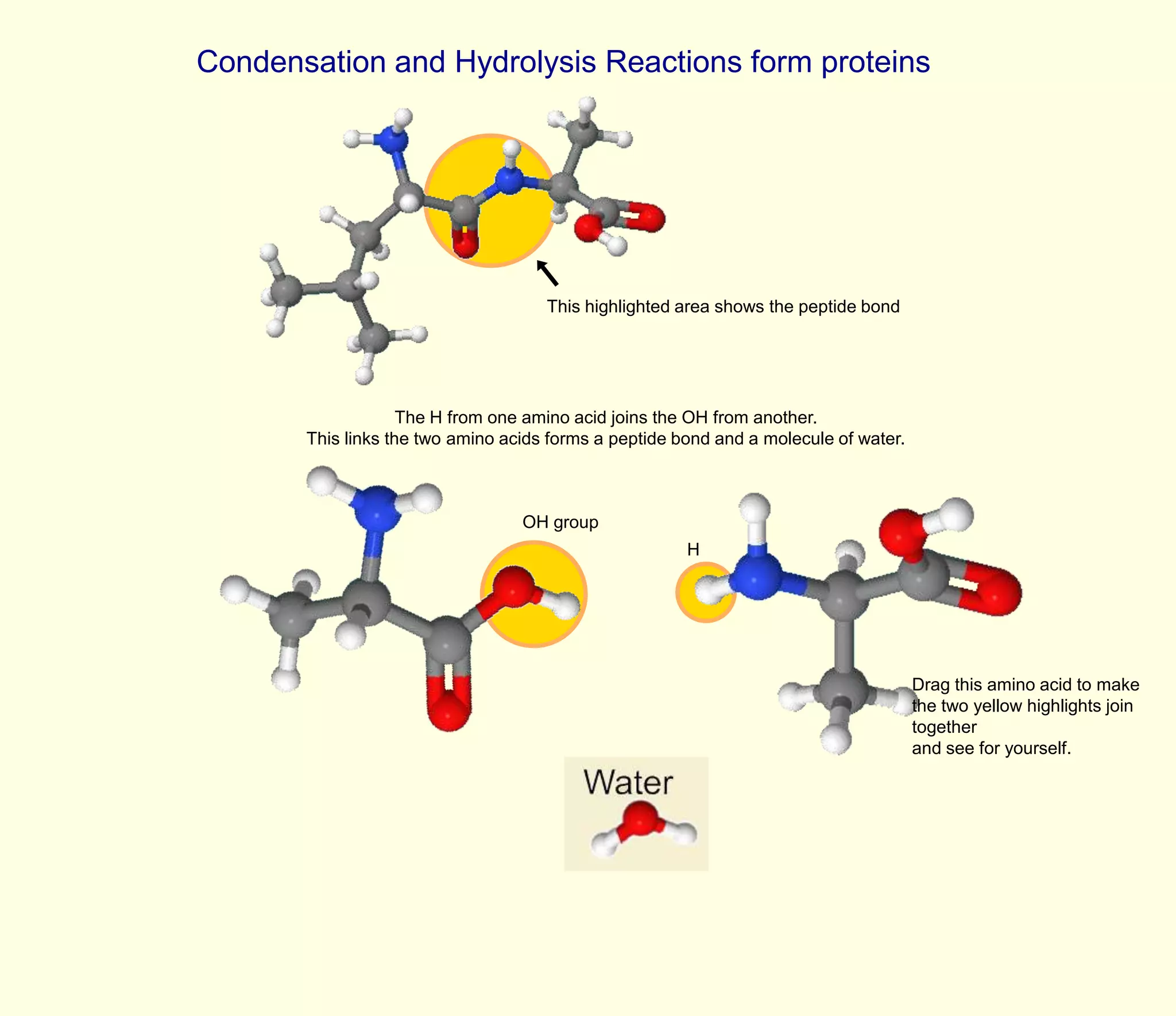 Condensation hydrolysis | PPTX