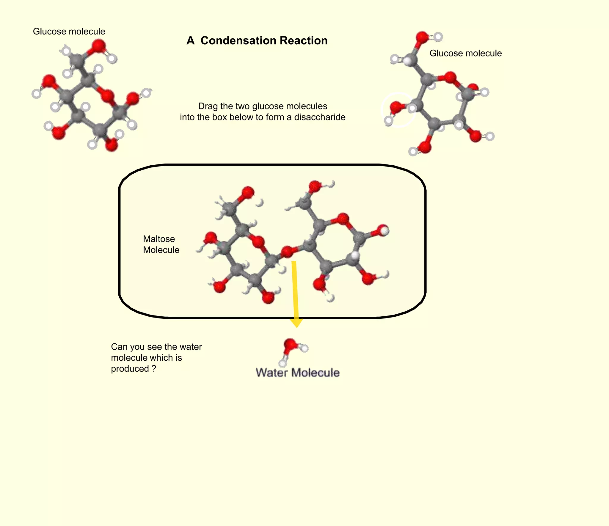 Condensation hydrolysis | PPTX
