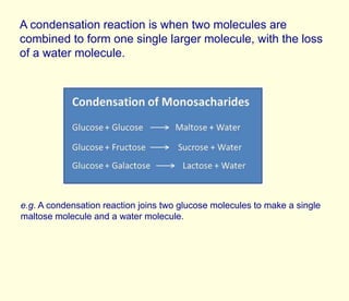 Condensation hydrolysis | PPT