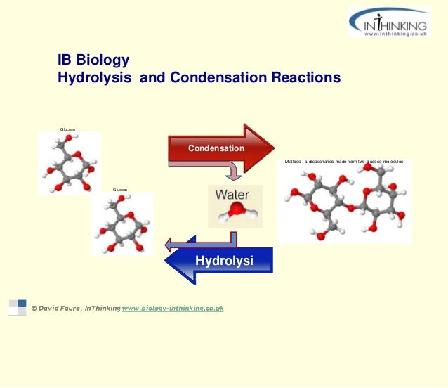 Condensation hydrolysis