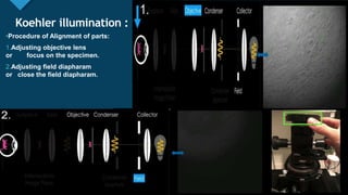 Condenser Lens , a key to visual (1).pptx