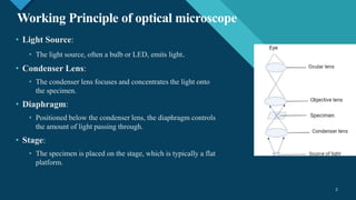 Condenser Lens , a key to visual (1).pptx