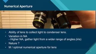 Condenser Lens , a key to visual (1).pptx