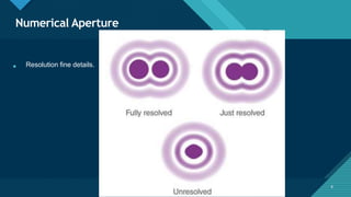 Condenser Lens , a key to visual (1).pptx