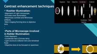 Condenser Lens , a key to visual (1).pptx