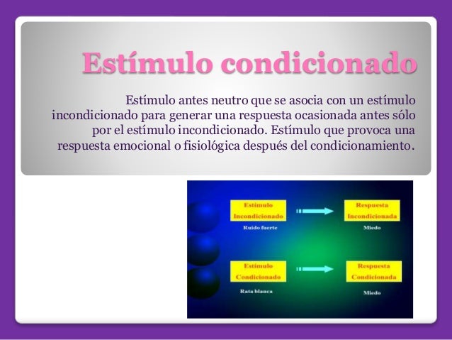 Condicionalismo clasico11
