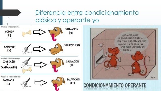 Condicionamiento operante