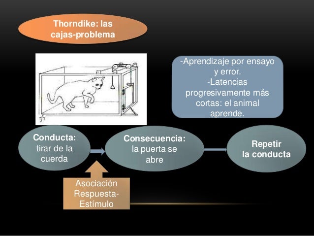 Herramientas tecnológicas : TEORÍAS DEL APRENDIZAJE