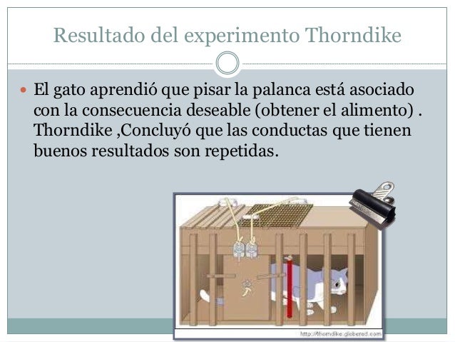 Condicionamiento operante
