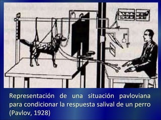 Condicionamientos Del Aprendizaje | PPS