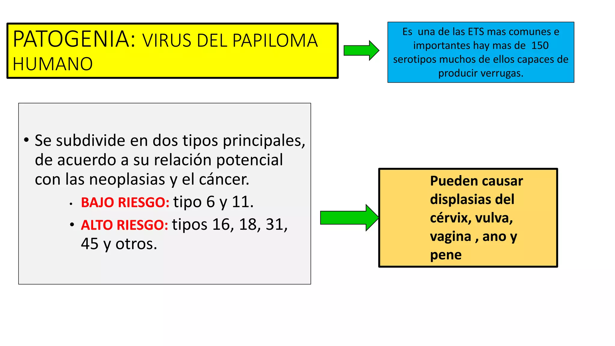Condiloma acuminado | PPTX
