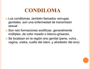 Condilomas diapostivas | PPTX