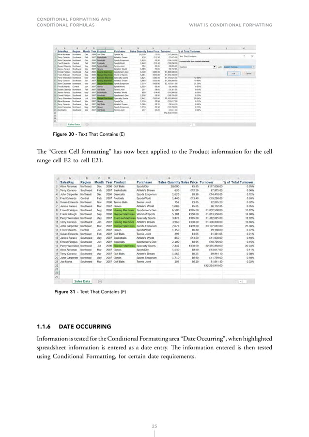 Conditional Formatting And Conditional Formulaspdf