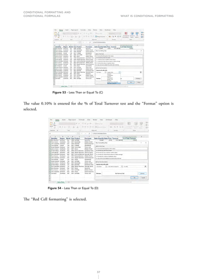 Conditional Formatting And Conditional Formulaspdf 0595