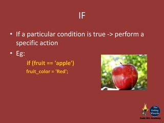 Conditional Constructs in Javascript | PPTX