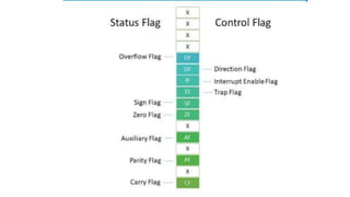 Conditional Processing Boolean and Comparison Instructions-converted.pptx