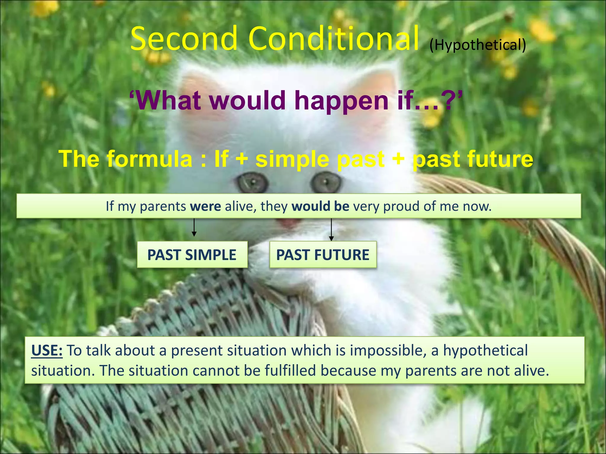 Conditionals tense | PPT