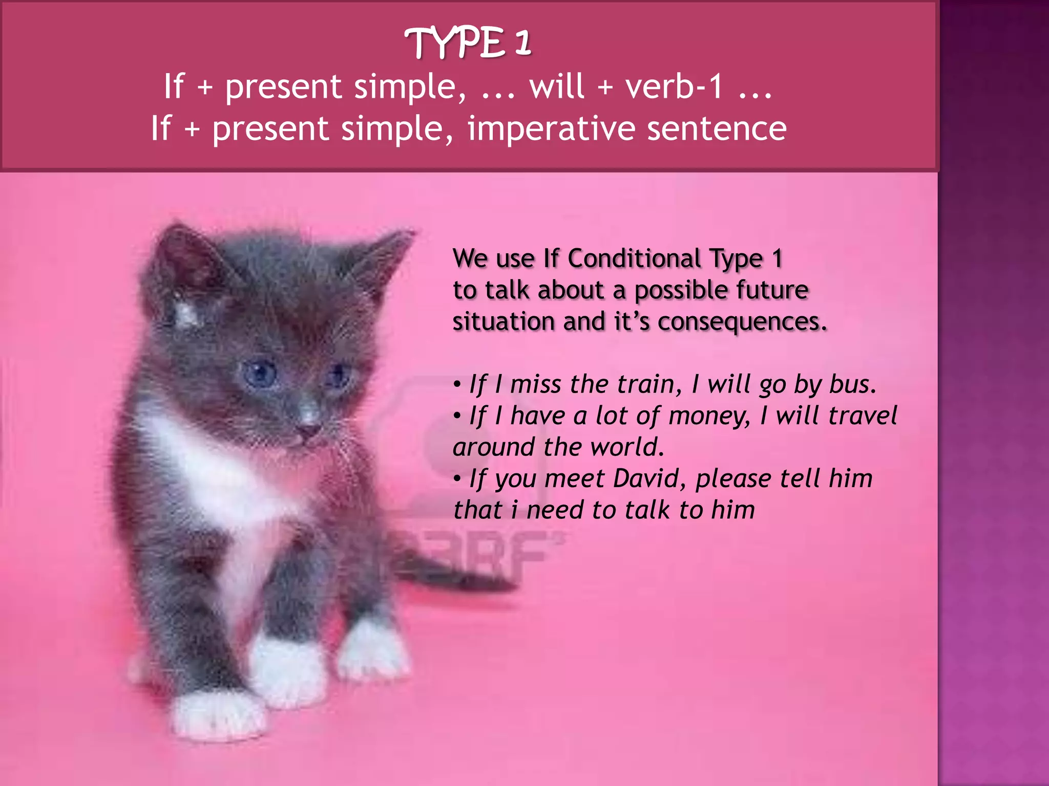 Conditional Sentence | PPTX