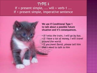 Conditional Sentence | PPT