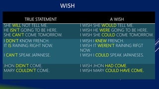 Conditional sentences and wishes | PPTX