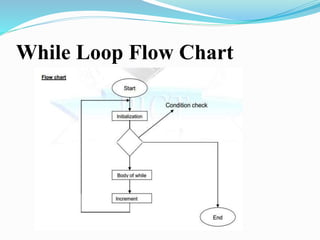 Conditional statements & Loops | PPT
