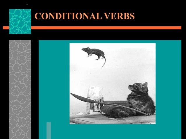 Conditional Verbs. | PPT