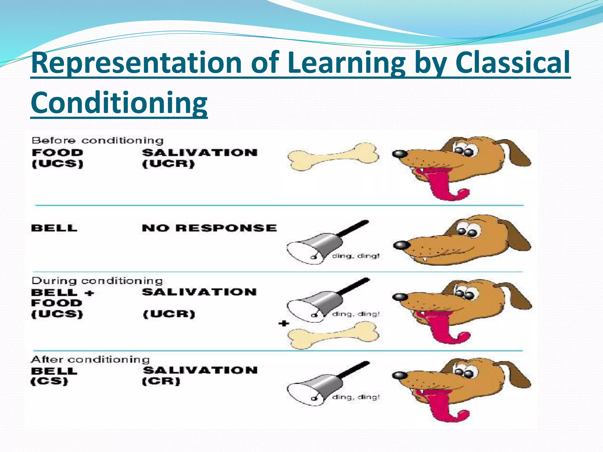 Conditioned learning | PPT