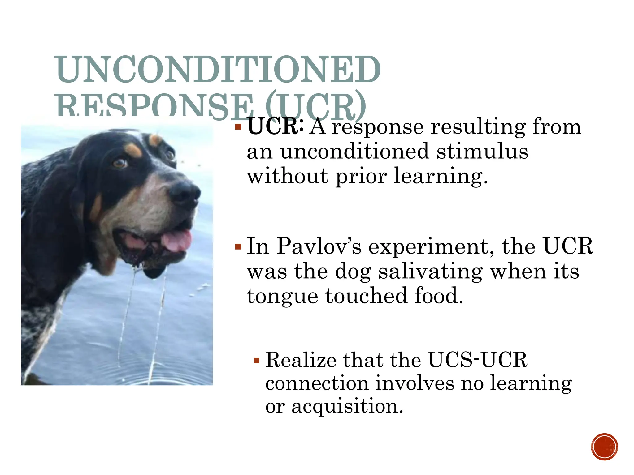 Classical Conditioning and Operant Conditioning.ppt