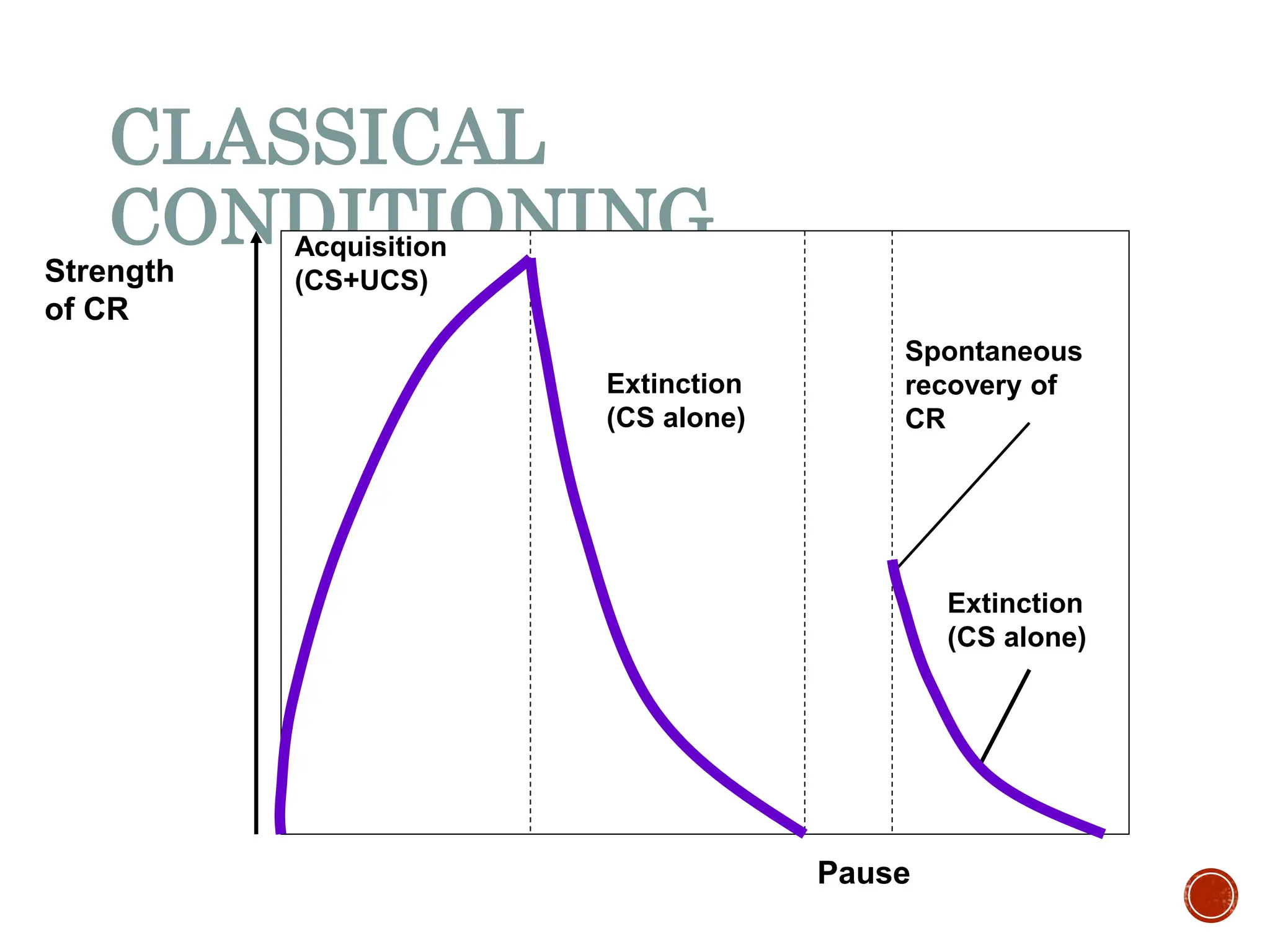 Classical Conditioning and Operant Conditioning.ppt