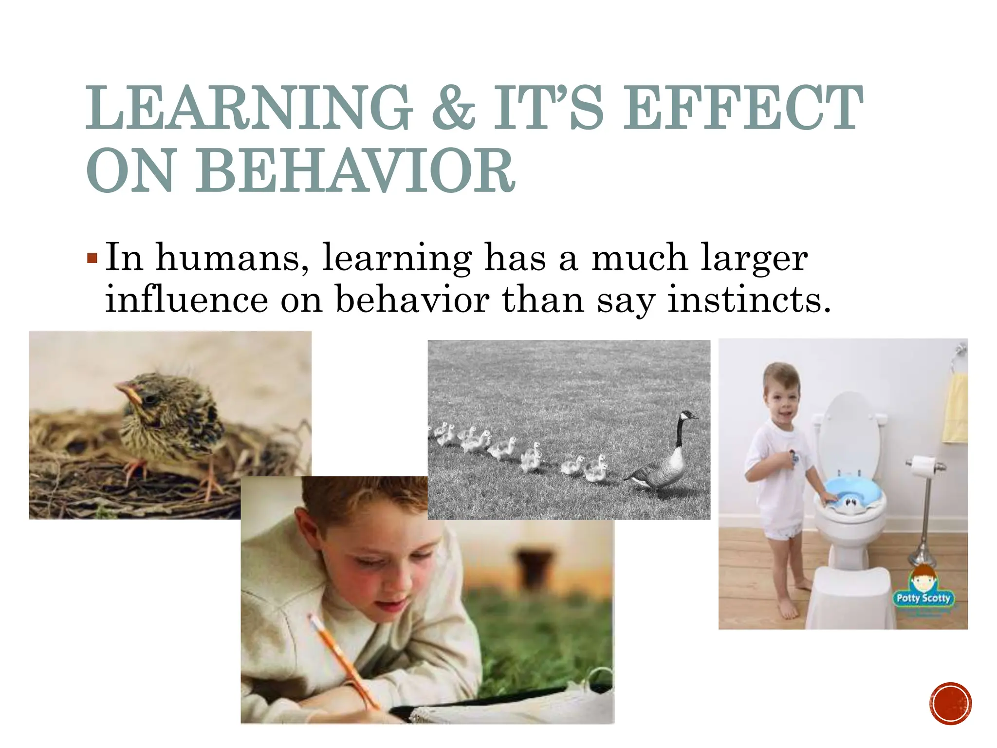 Classical Conditioning and Operant Conditioning.ppt