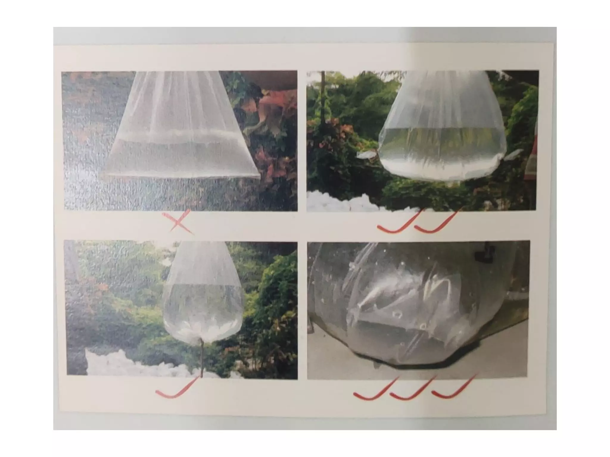 Conditioning and packaging of ornamental fish for transportation.pdf